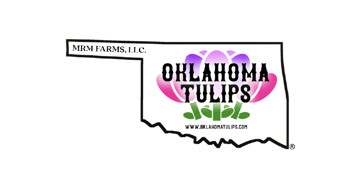History of Oklahoma Tulips – OklahomaTulips.com